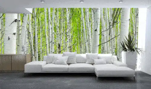 Mural Drake Forest | Wallpaper Online Canada