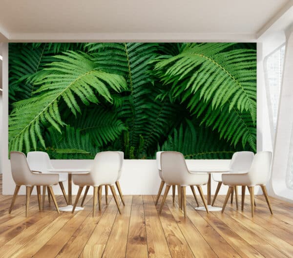 Mural Fern Valley | Wallpaper Online Canada