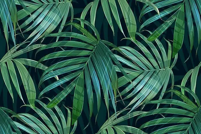 Shadow Jungle Wallpaper | Wallpaper Online Canada